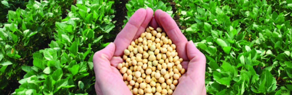 Crop Marketing - Protect Our Livelihood